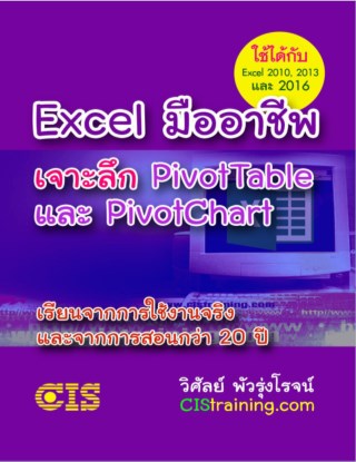 Excel มืออาชีพ: เจาะลึก PivotTable และ PivotChart โดย วิศัลย์ พัวรุ่งโรจน์ - Ookbee
