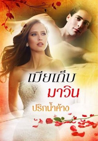เมียเก็บมาวิน - Ookbee ร้านอีบุ๊ค (E-Book) ครบทั้งหนังสือ การ์ตูน นิตยสาร